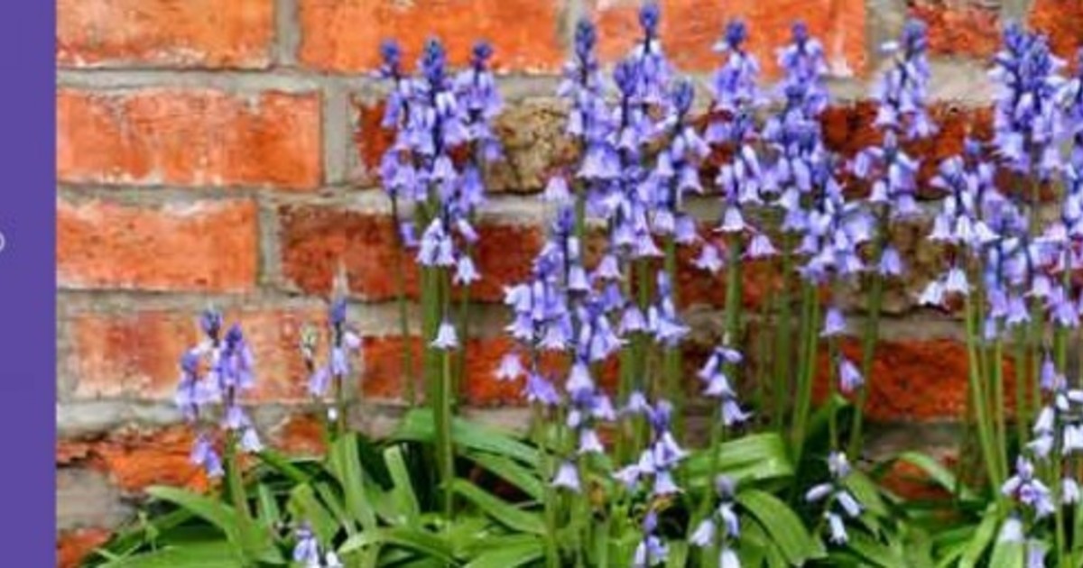 Beginning Experience Weekend | Marriage and Family Life Office